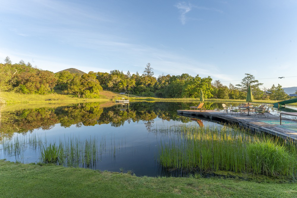 Road to 4.0 SunHawk Pickleball Tours - Will Tams Coaching